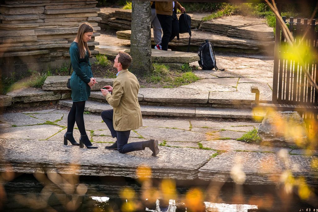 TOP 15 PLACES TO PROPOSE IN CHICAGO