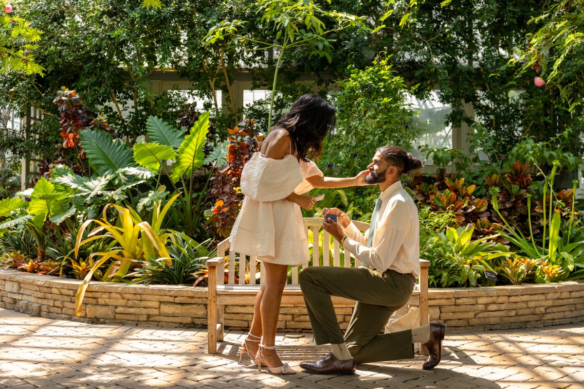 TOP 15 PLACES TO PROPOSE IN CHICAGO